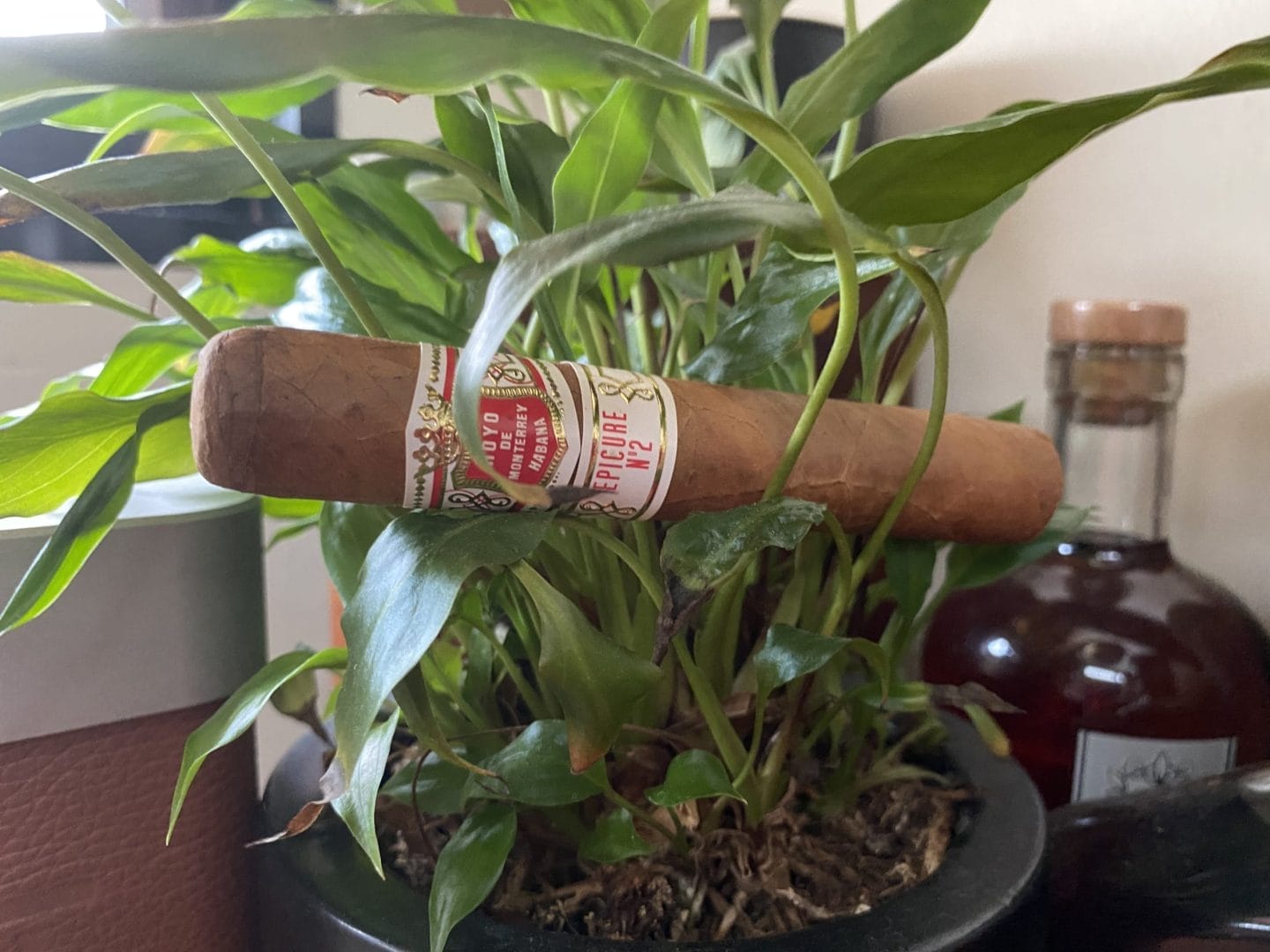 Hoyo de Monterrey Epicure #2 | Cigar Inspector